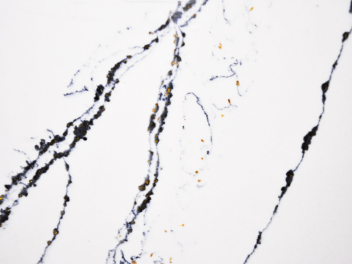 Aqua White – GS Kitchen & Bath